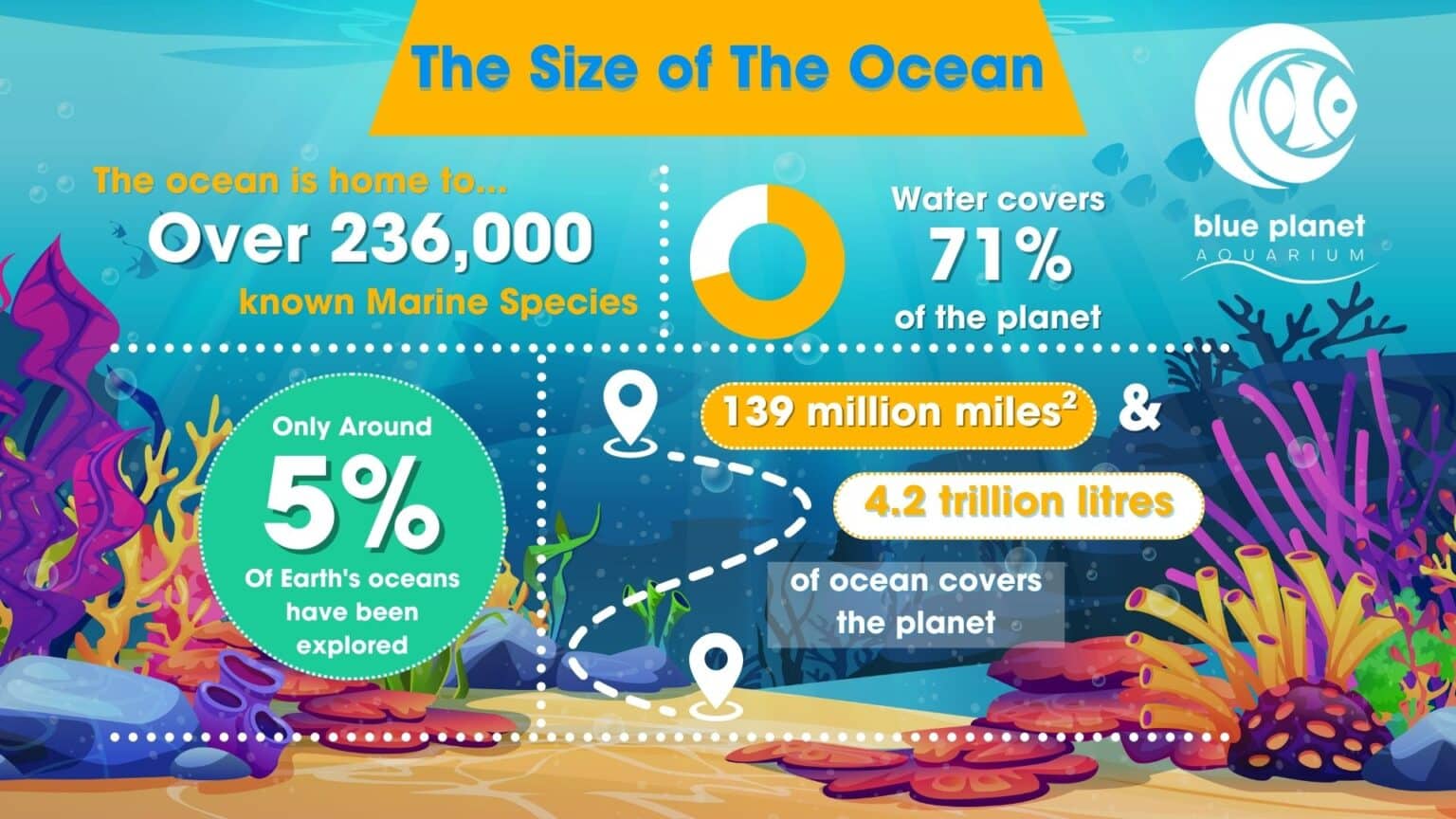 How Many Marine Animals Are There? - Blue Planet Aquarium