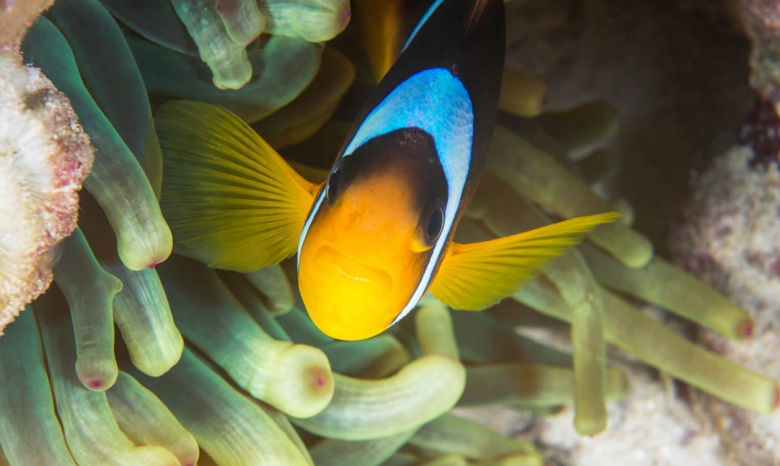 Best Ocean Documentaries | Blue Planet Aquarium