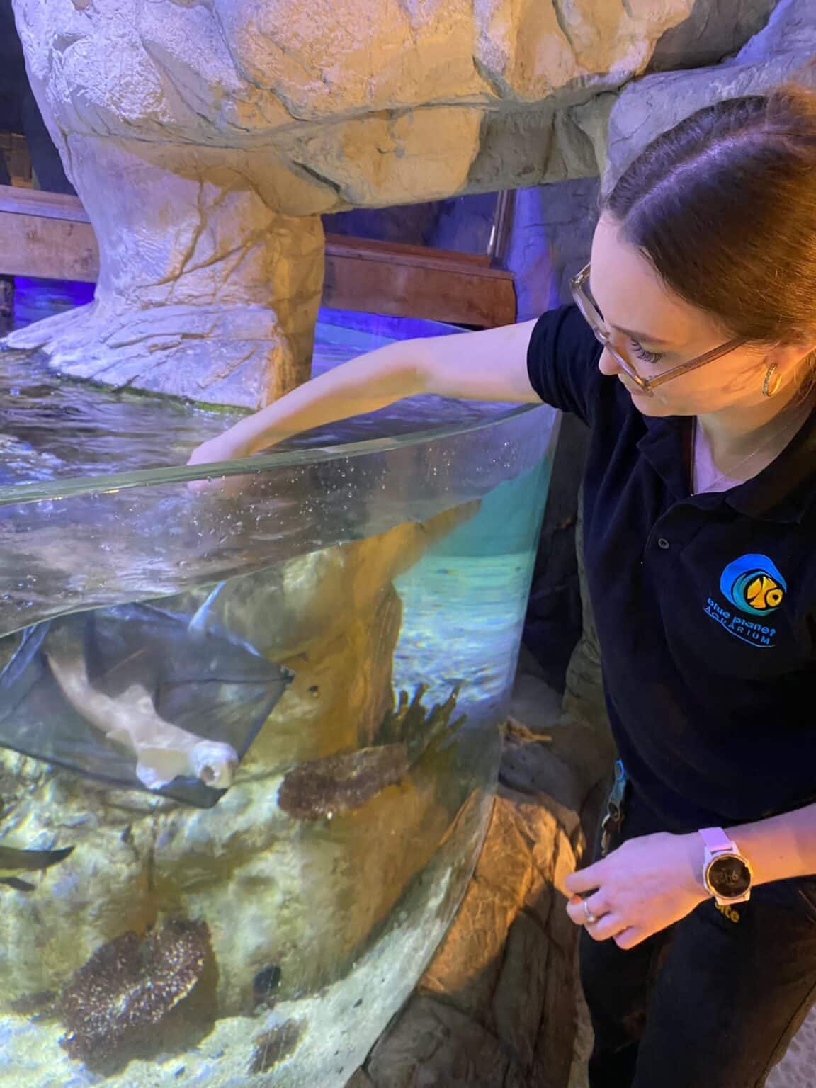 A Day in the Life of Our Aquarist Team - Blue Planet Aquarium