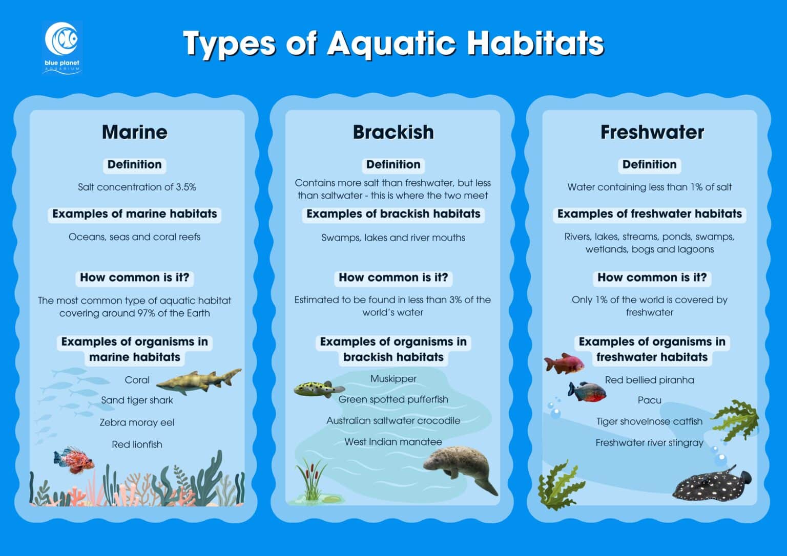 What Is a Habitat? Types of Water Habitats Explained - Blue Planet Aquarium
