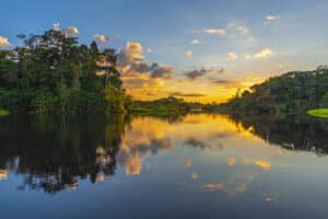 5 Fascinating Fish You’ll Find in the Amazon River - Blue Planet Aquarium