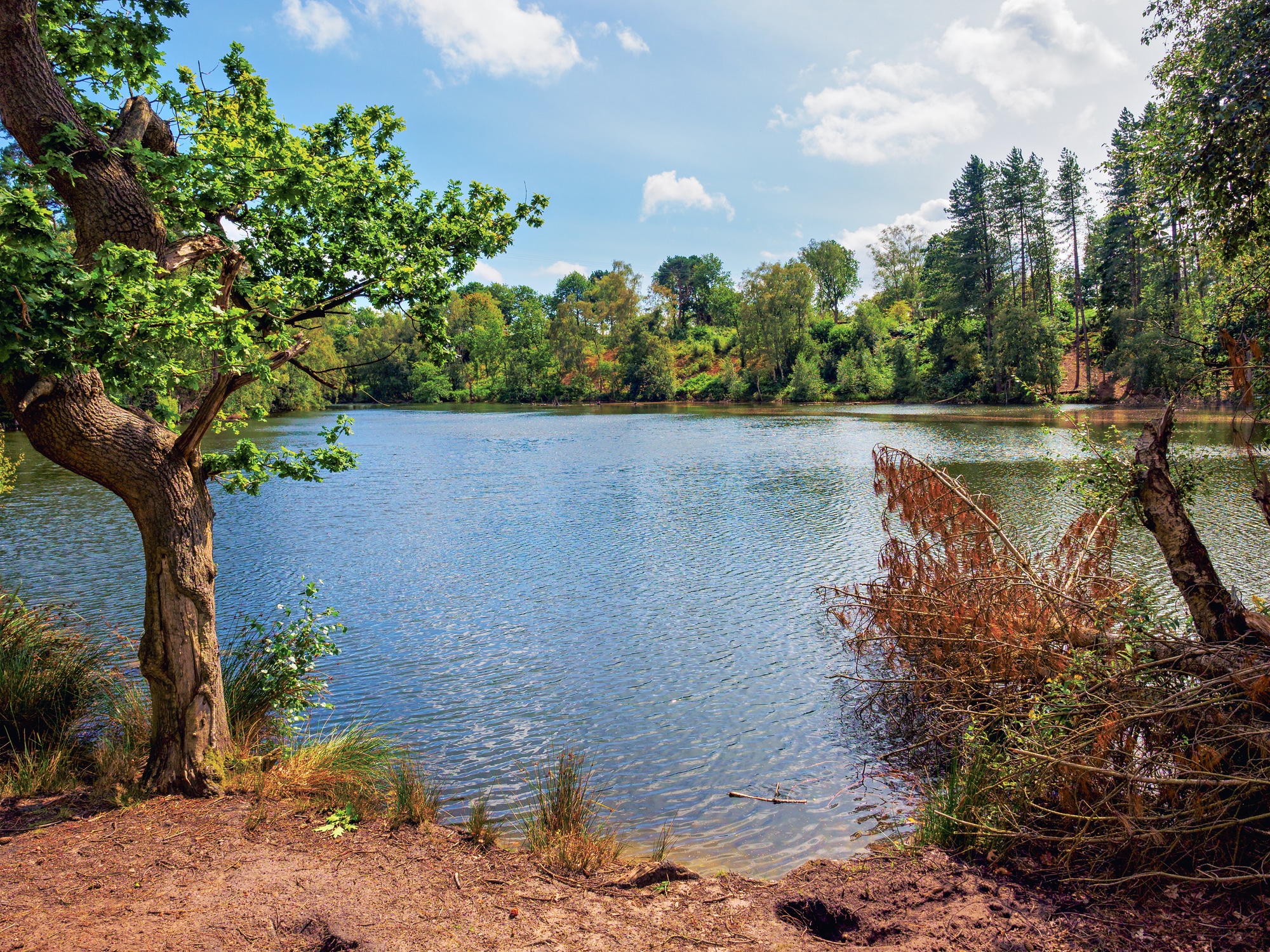 Where to See the Best of Nature in Cheshire - Blue Planet Aquarium