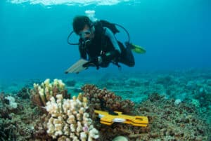 7 Famous Marine Scientists You Should Know - Blue Planet Aquarium